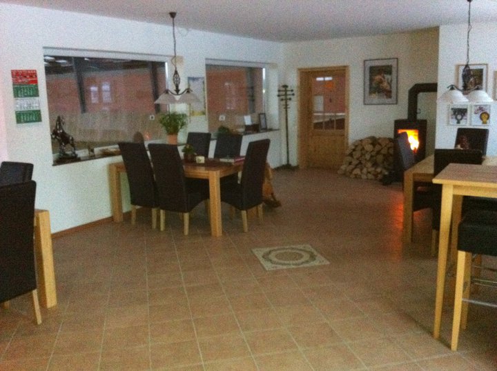 Alexander Eck – Performance Horses