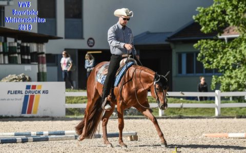 Alexander Eck – Performance Horses